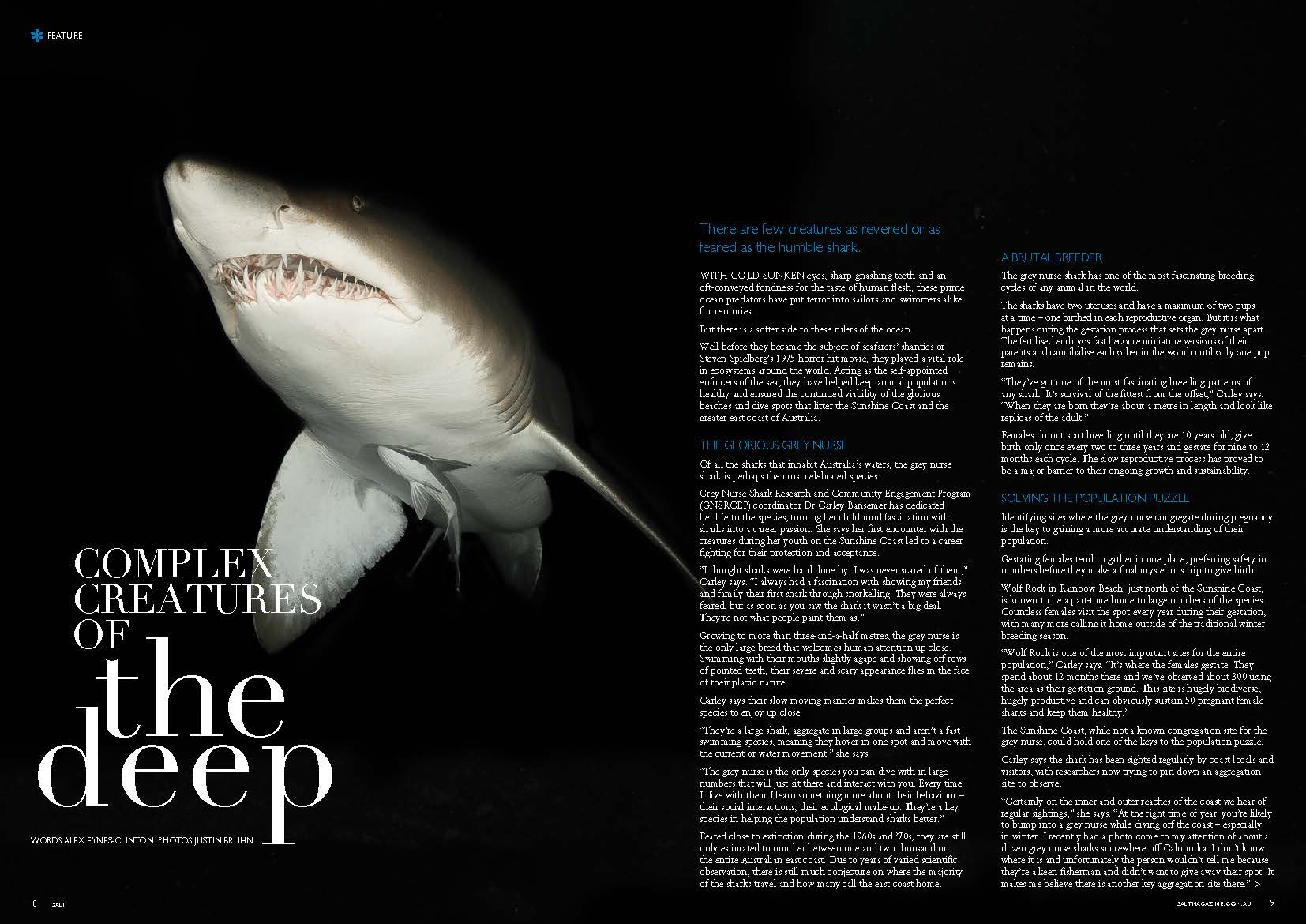 feature-sharks_salt_winter14_Page_1-978897.jpg?v=1667373611